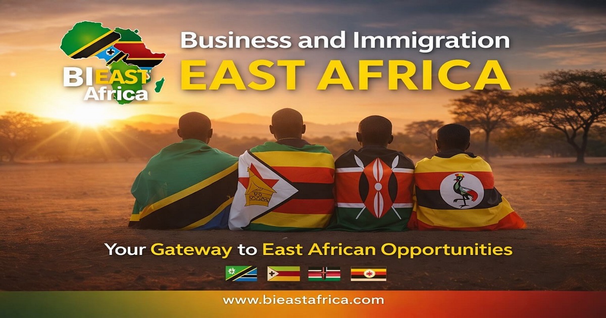 Kenya Work Permit Class D 2026: Cost, Requirements & eFNS Procedure | BIEA